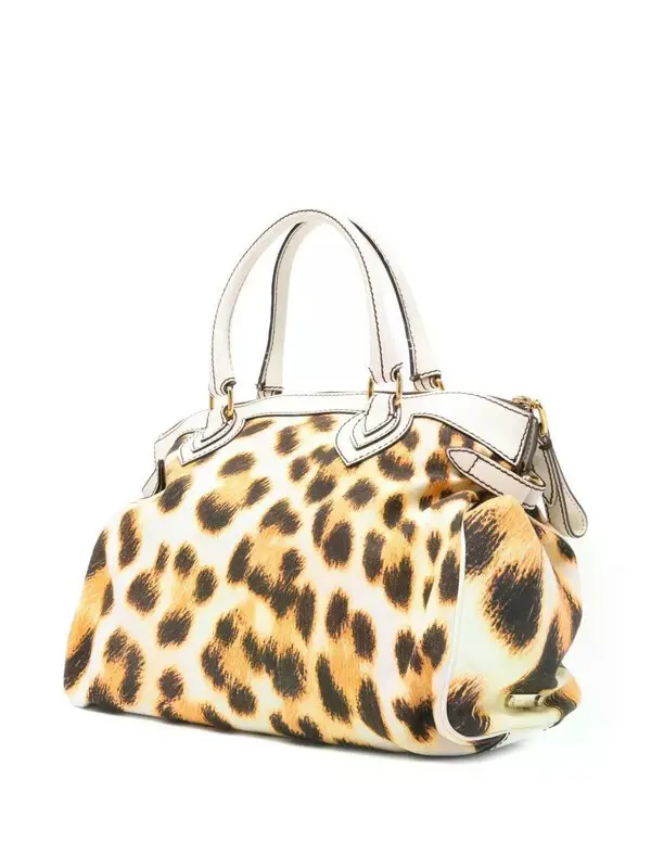 Roberto Cavalli 2000s Leopard Print Handbag
