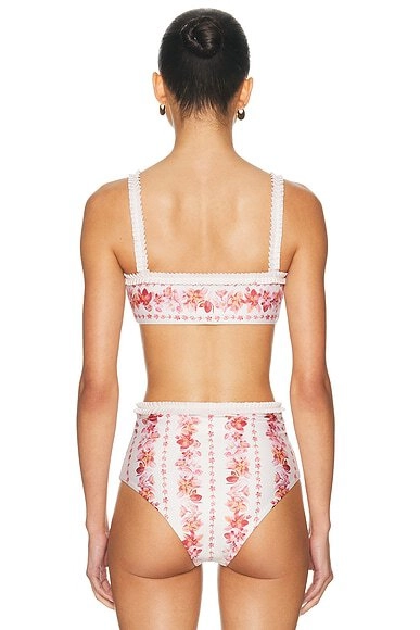 Agua Bendita Olmo Bikini Top - Cauca