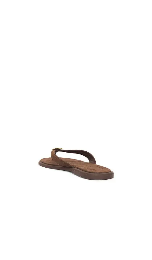 Dolce Vita Jaina Suede Thong Sandals With Gold-tone Accents - Brown