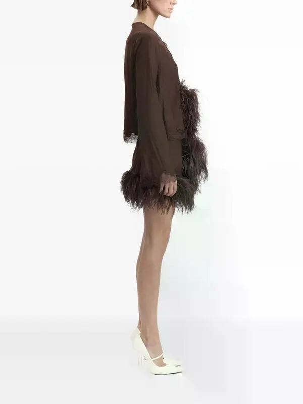 16Arlington Zelmi Mini Skirt With Feather And Lace Trim - Brown