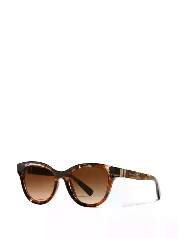 Dolce & Gabbana Dg Hinge Sunglasses - Brown