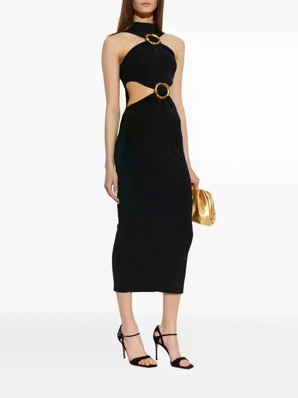 GIANVITO ROSSI Camnero Suede Ankle-strap Pumps