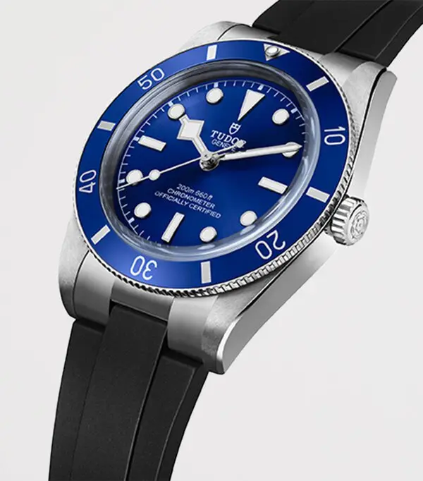TUDOR Black Bay 54 Stainless Steel Watch