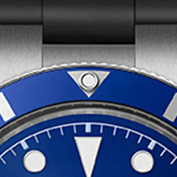 TUDOR Black Bay 54 Stainless Steel Watch