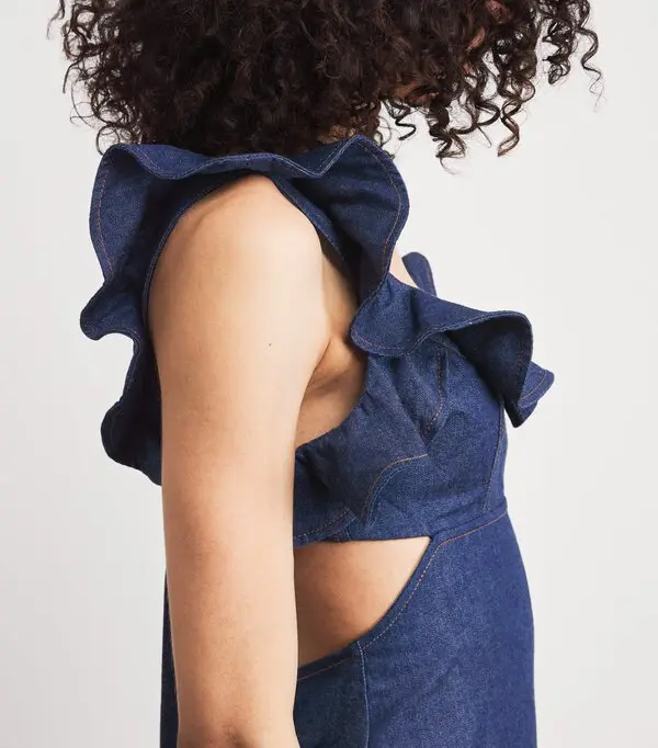 Zimmermann Aster Denim Frilled Midi Dress