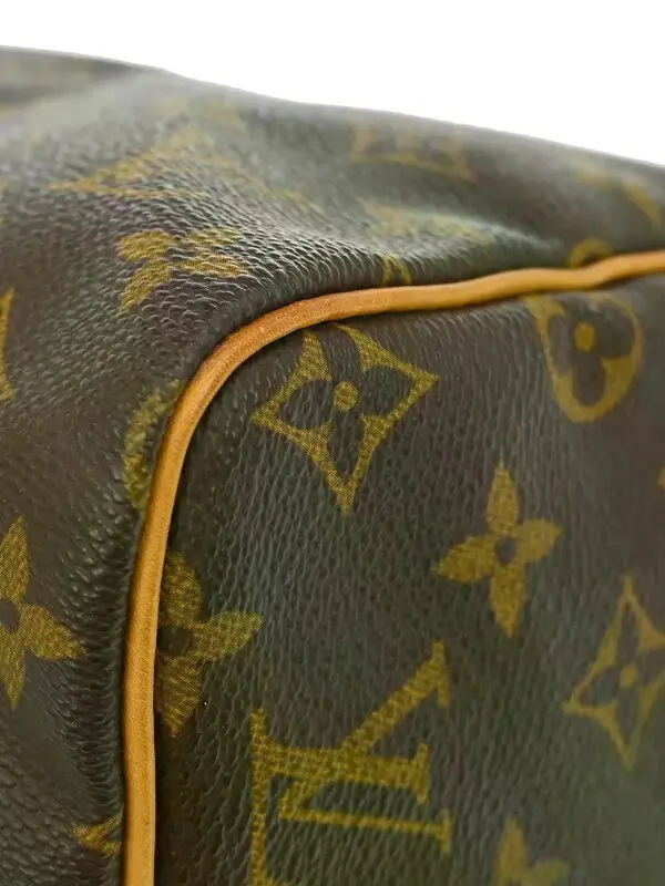 LOUIS VUITTON Monogram Speedy Luggage