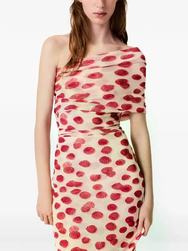 Stella McCartney Raspberry-print Ruched Maxi Dress