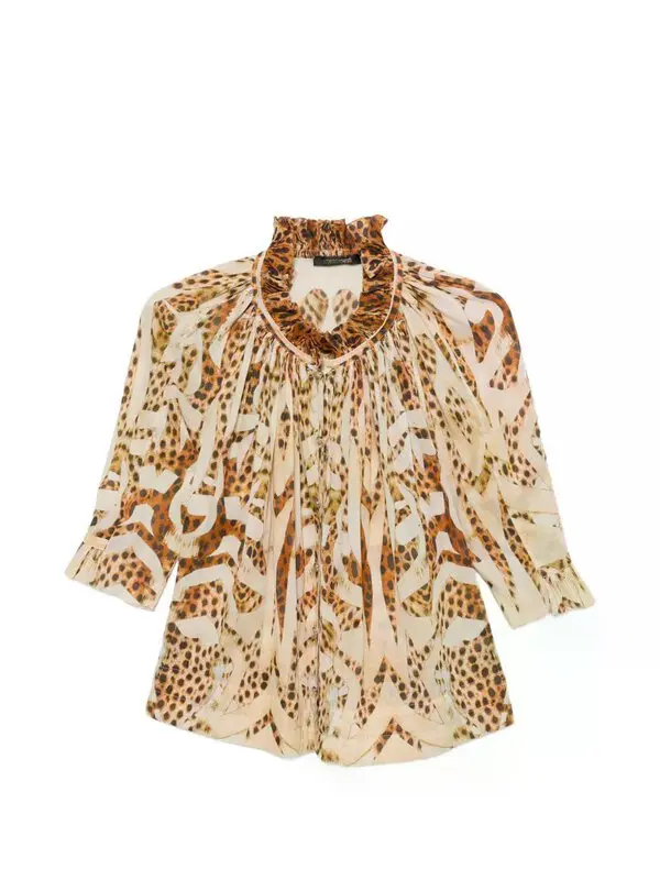 Roberto Cavalli 2000s Animal Print Blouse - Neutrals