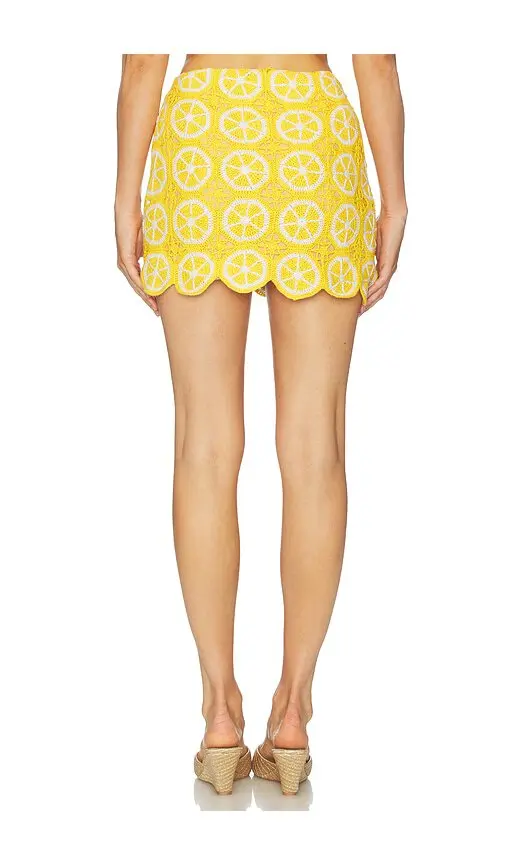 Show Me Your Mumu Solstice Mini Skirt