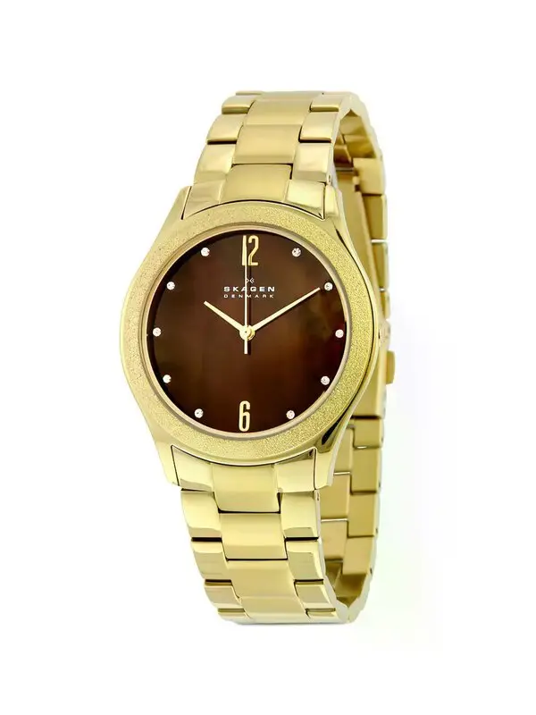 Skagen Stainless Steel Watch With Dial - Brown