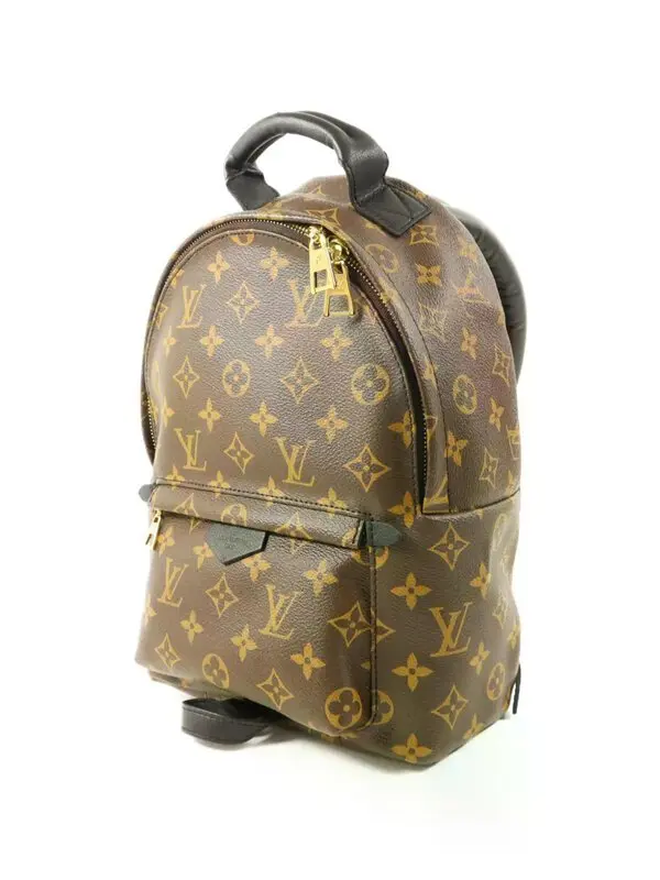 LOUIS VUITTON Palm Springs Monogram Backpack - Brown