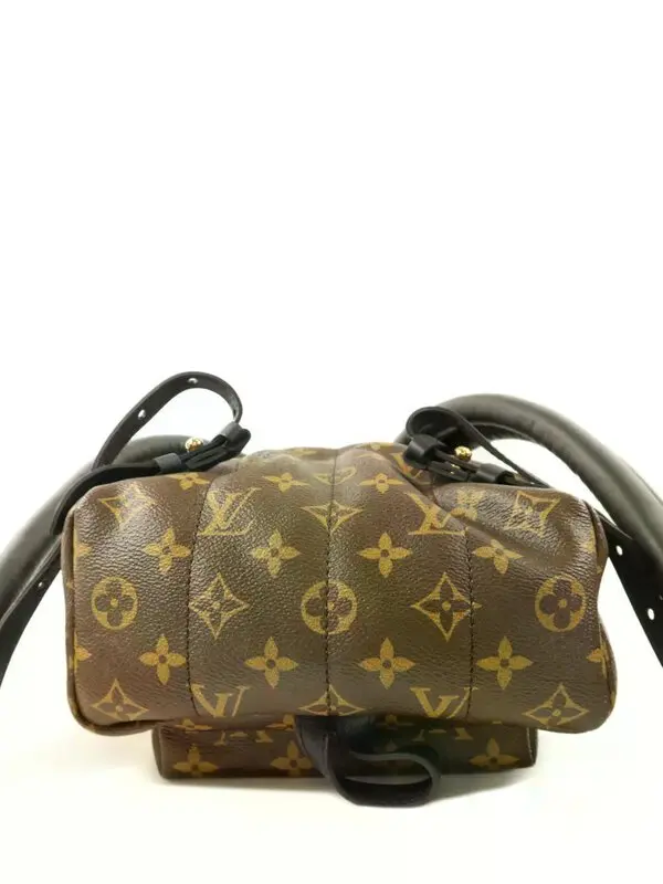 LOUIS VUITTON Palm Springs Monogram Backpack - Brown