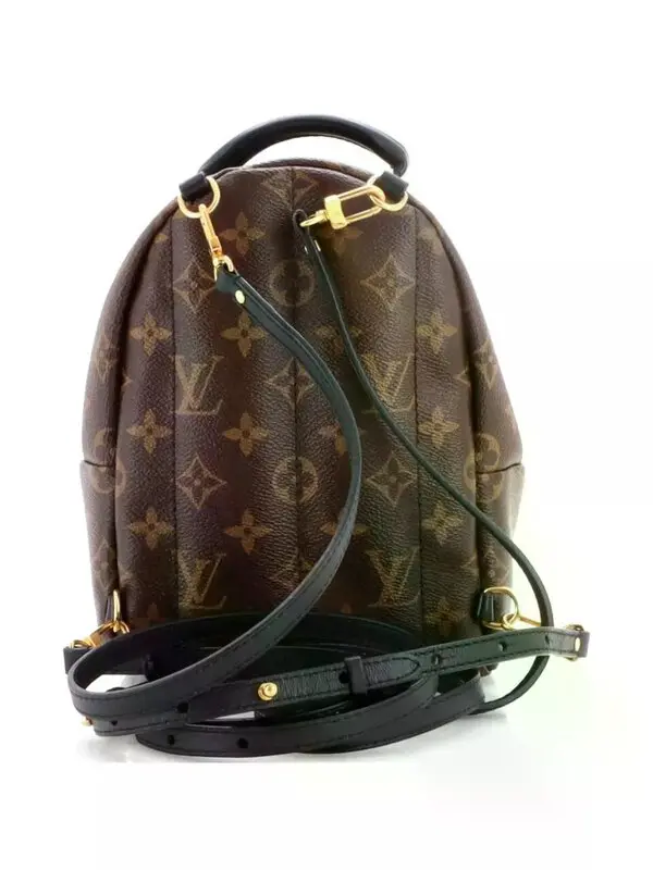 LOUIS VUITTON Palm Springs Monogram Canvas Mini Backpack - Brown