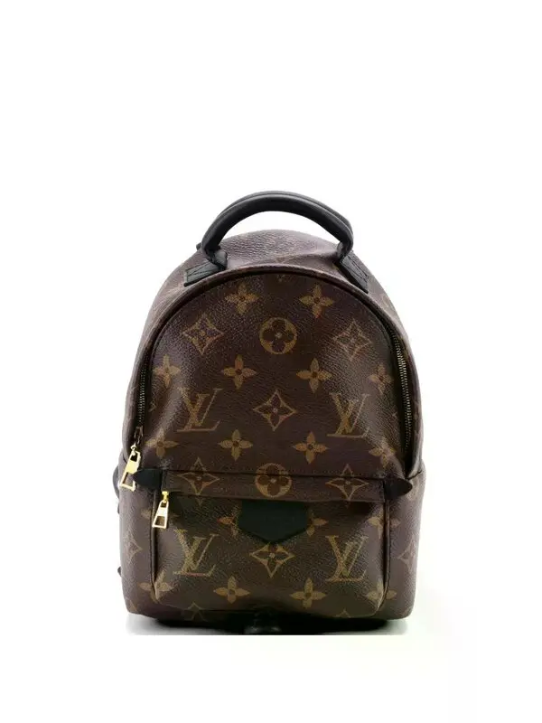LOUIS VUITTON Palm Springs Monogram Canvas Mini Backpack