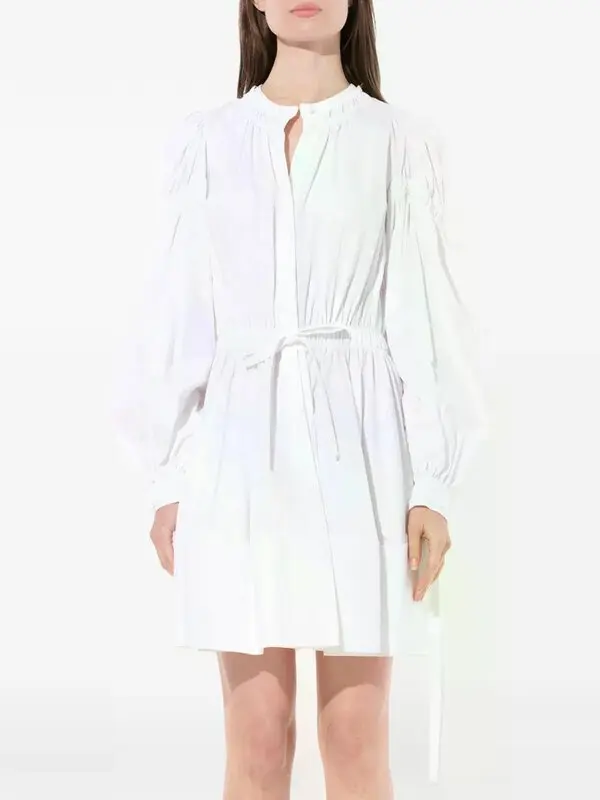 Alexander McQueen Gathered Sleeve Dress