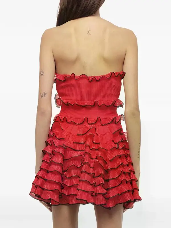 Alexander McQueen Ruffled Skater Dress