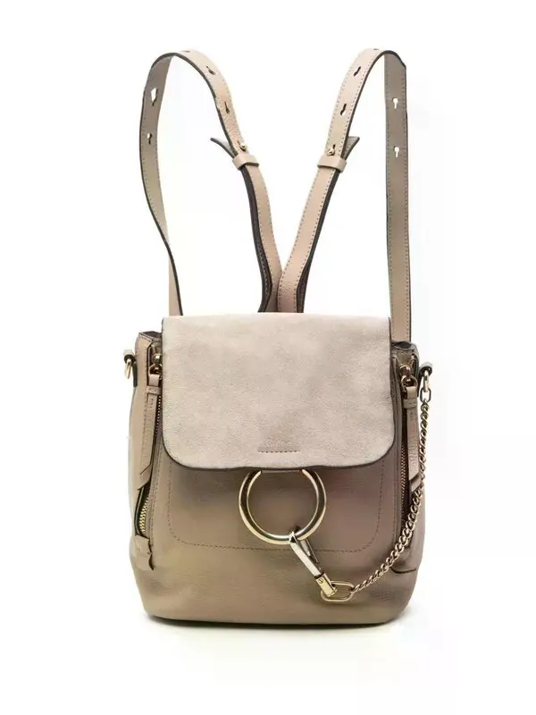 Chloé Faye Backpack In Calfskin And Suede - Brown