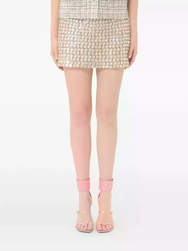 Valentino Garavani Mini Skirt In Embroidered Organza - Neutrals