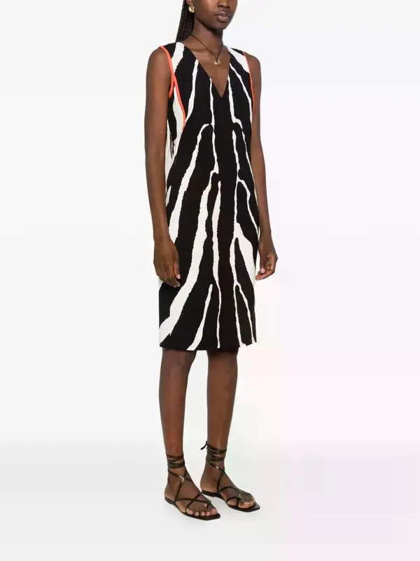 Roberto Cavalli Zebra-print V-neck Mini Dress