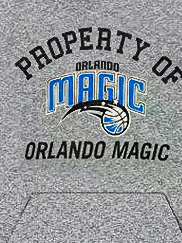 ERIC EMANUEL Orlando Magic Graphic Hoodie - Grey