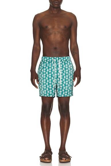 Onia Charles 5 Swim Trunk - Aloe Multi