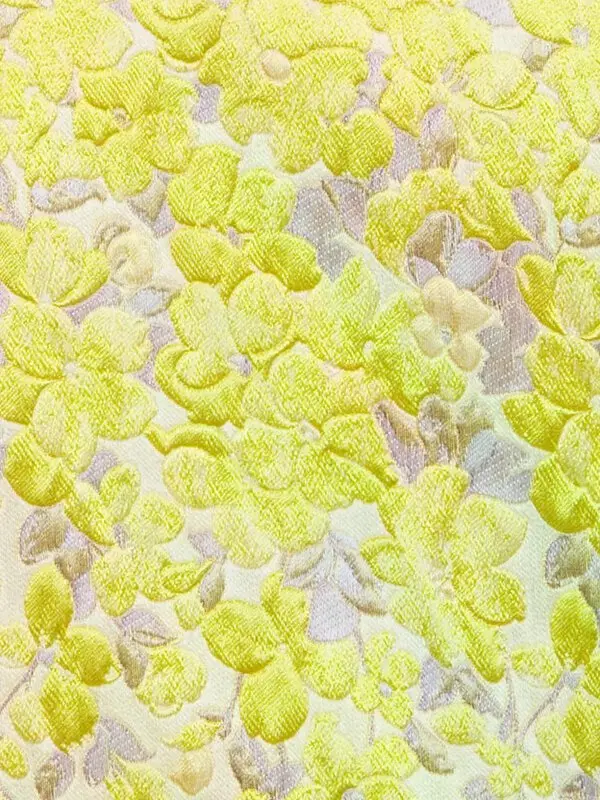 Giambattista Valli Jacquard Mini Dress
