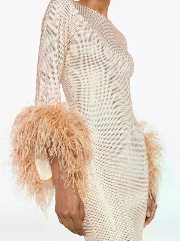MIRON Feather-trimmed Crystal-embellished Gown