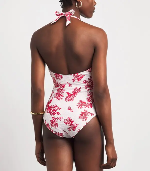 Heidi Klein Halterneck Scala Swimsuit With Floral Print - Red