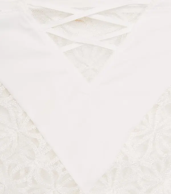 AUBADE Lace Secret Memories Briefs