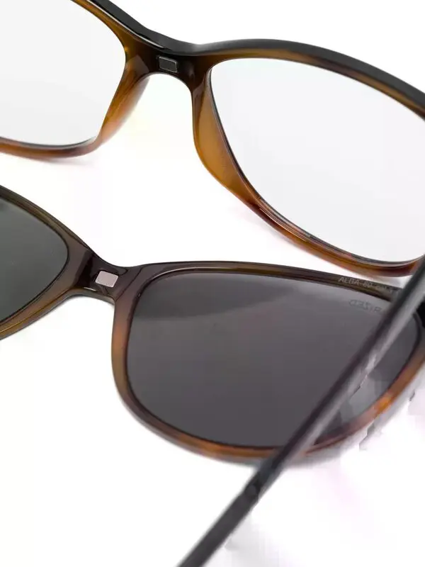 S2S Alba D-frame Sunglasses
