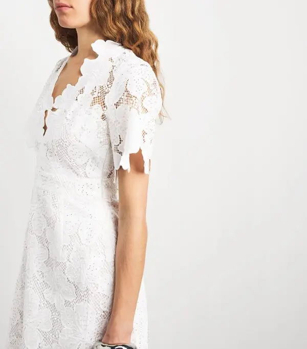 Sandro Guipure Lace Mini Dress