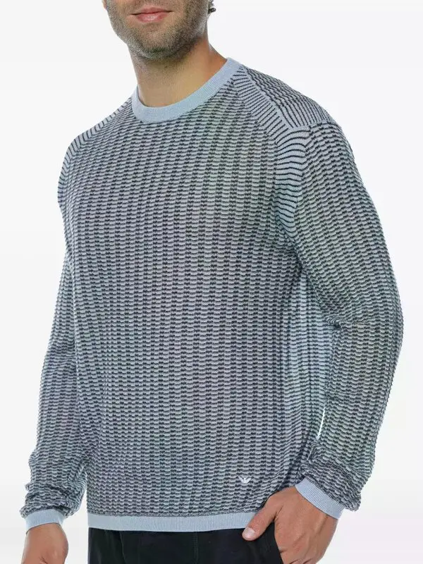 Emporio Armani Textured Knit Raglan Sleeve Sweater