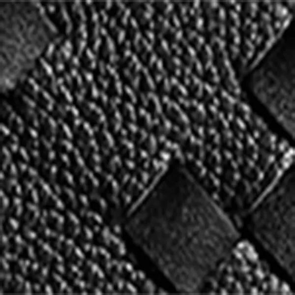 Bottega Veneta Diamond Leather Backpack
