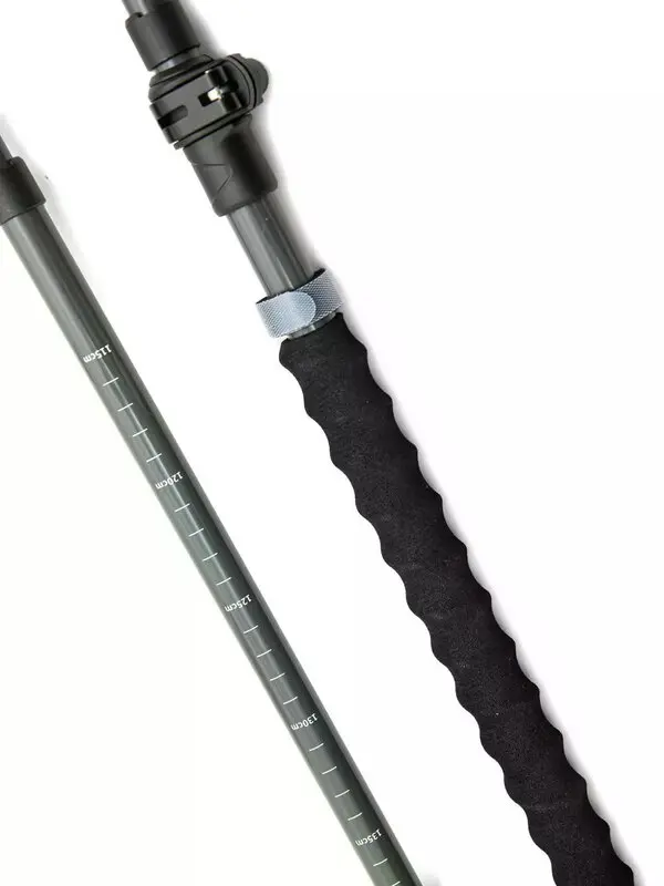 VIKING Mission Fs Ski Poles