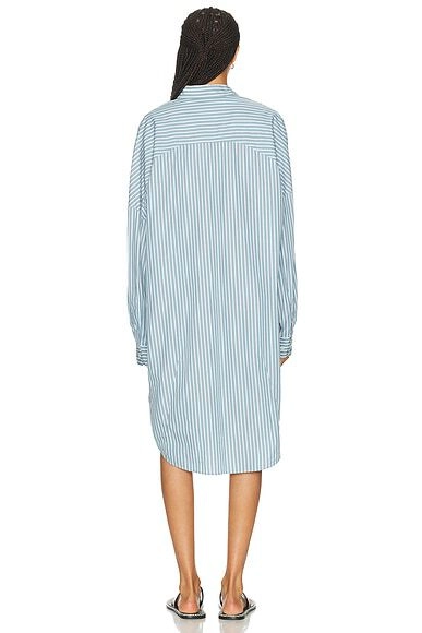 Dries Van Noten Dasia Shirt Dress