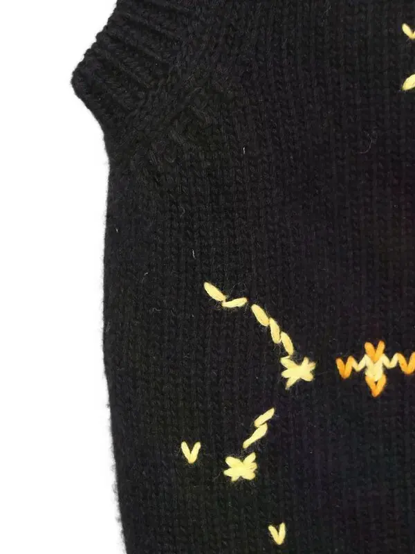 Dior Constellation Knit Vest