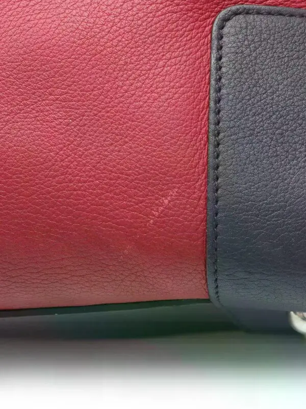 Loewe Amazona 36 Leather Handbag