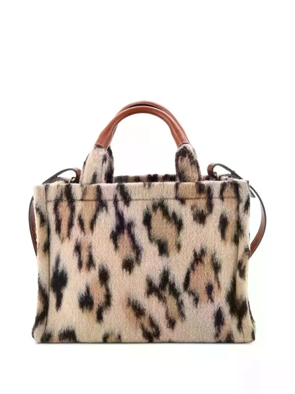 Celine Cabas Thais Printed Wool Small Tote Bag - Multicolour