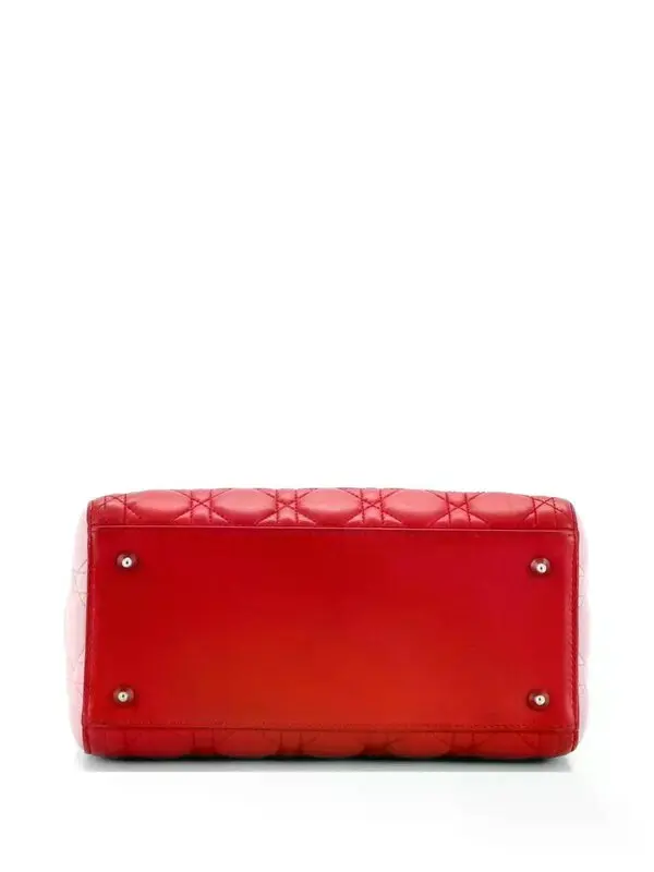 Dior Lady Satchel Bag - Multicolour