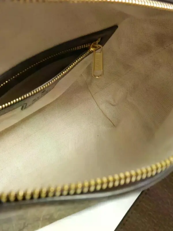 Gucci Ophidia Gg Handbag