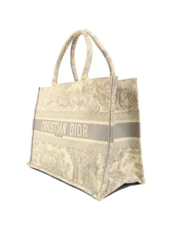 Dior Book Tote Bag