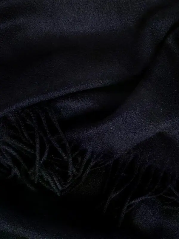 Max Mara Fringed Logo-embroidered Scarf