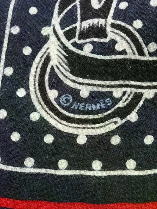 Hermès 2010s Disco Coaching Scarf - Blue