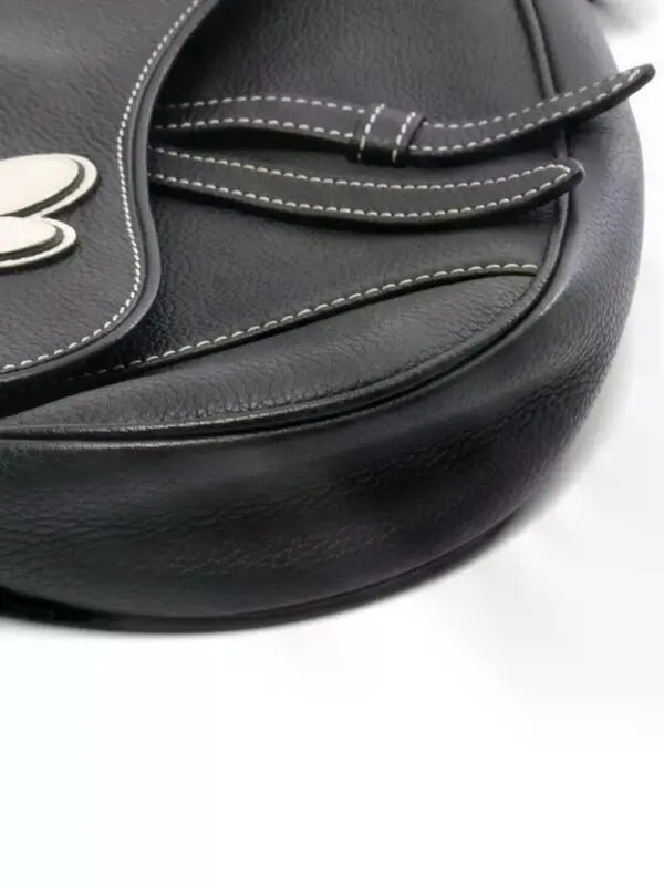 Dior Saddle Body Bag With Kaws Bee Applique