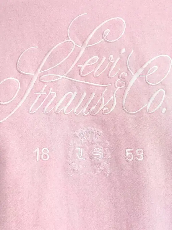 LEVI'S Boxy Sweatshirt With Embroidered Logo