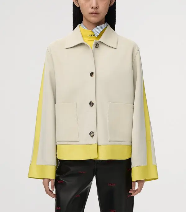 Loewe Paneled Suede And Leather Jacket