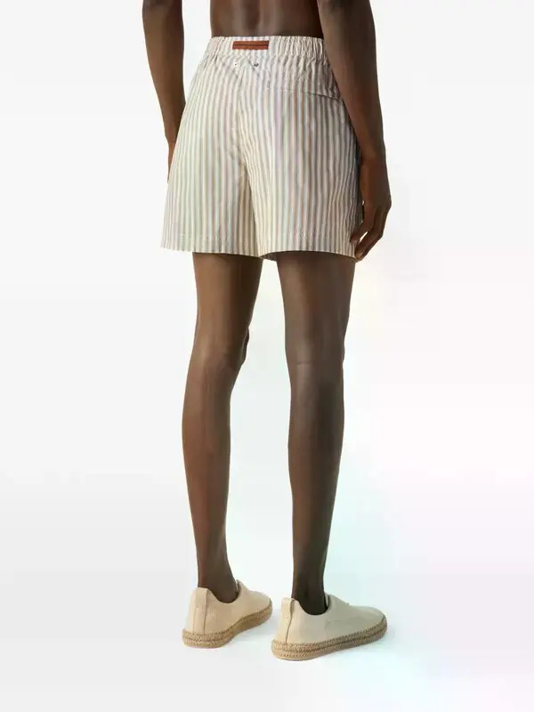 Zegna Striped Swim Shorts - Neutrals