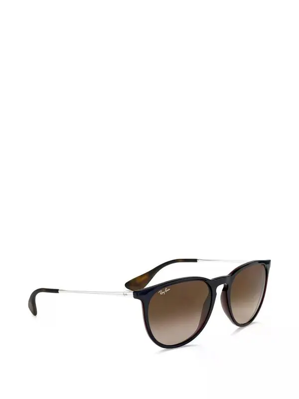 Ray-ban Erika Classic Round-frame Sunglasses