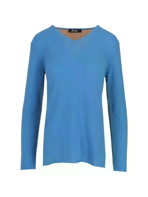 LA ROSE V-neck Fine Knit Colour-block Panel Sweater - Blue