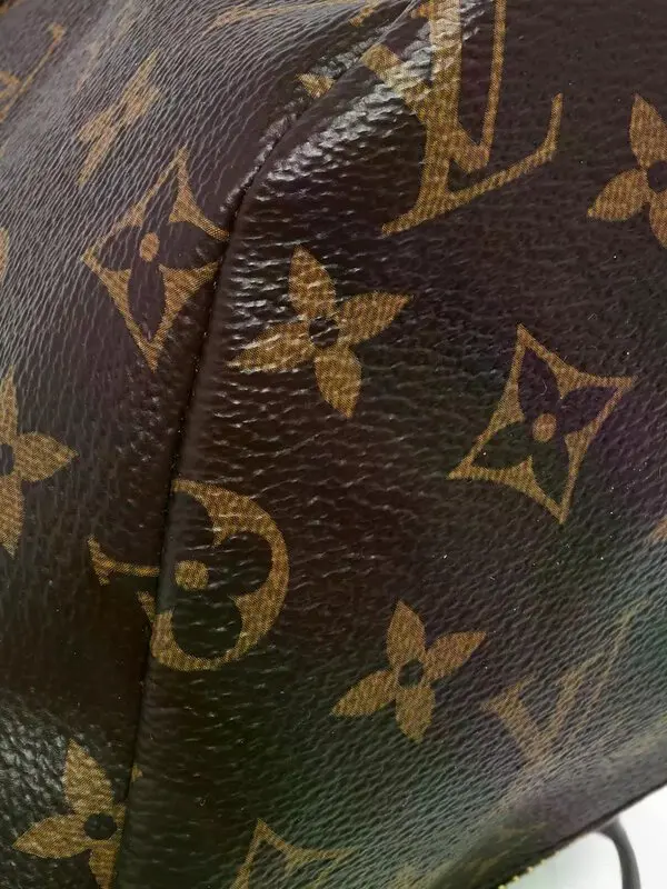 LOUIS VUITTON Monogram Canvas Belt Bag